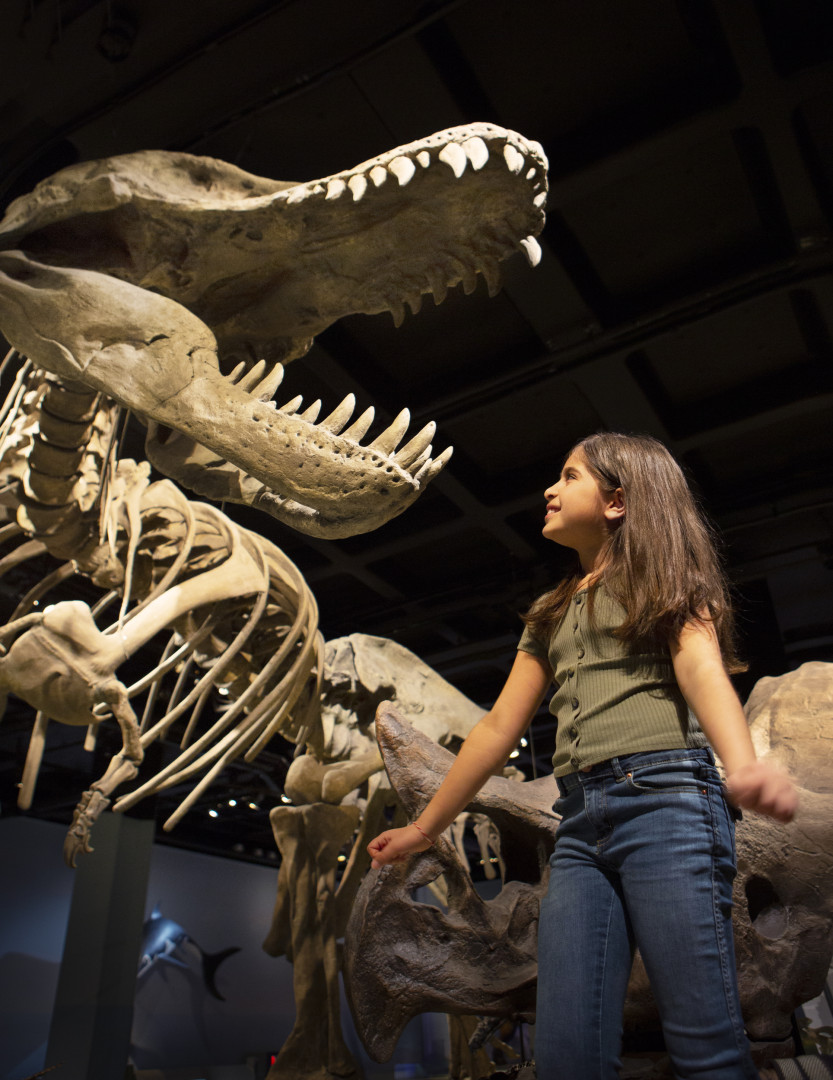 Naturhistoriska riksmuseet / Cosmonova Naturhistoriska riksmuseet med Cosmonova – Barn i stan